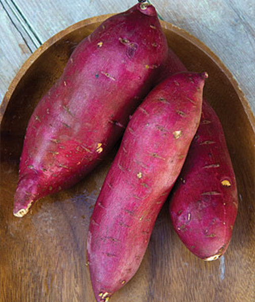 Murasaki Sweet Potatoes - The Veggie Fairy Team