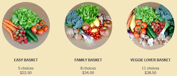 Welcome, Dominion Harvest members! - The Veggie Fairy Team